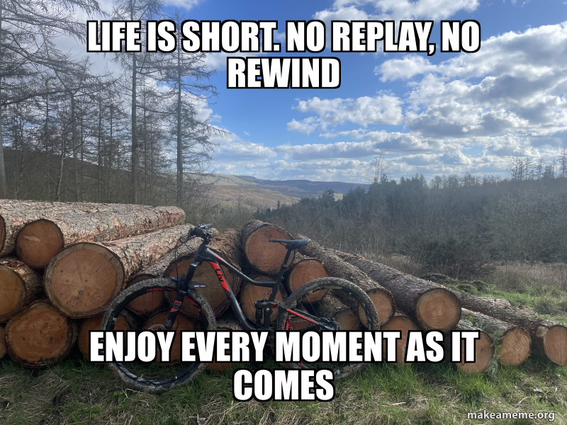 Life is short. No replay, no rewind Enjoy every moment as it comes Meme ...