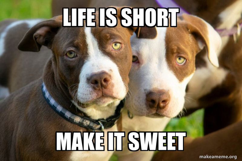 life is short make it sweet - sweetpittie Meme Generator