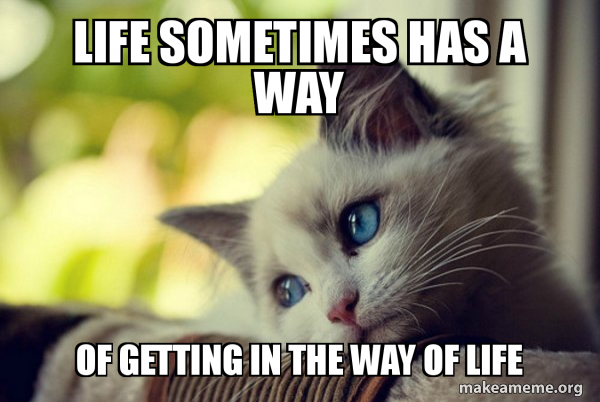 Life sometimes has a way of getting in the way of life - First World ...
