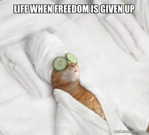 Life when Freedom is given up - Pampered Cat Meme Meme Generator