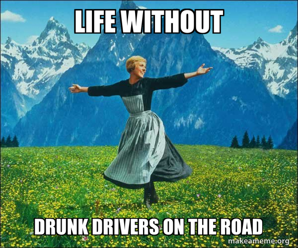 Life without Drunk drivers on the road - Sound of Music Meme Generator