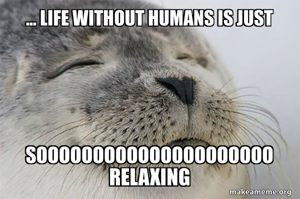 life without humans is just sooooooooooooooooooooo relaxing - Satisfied ...