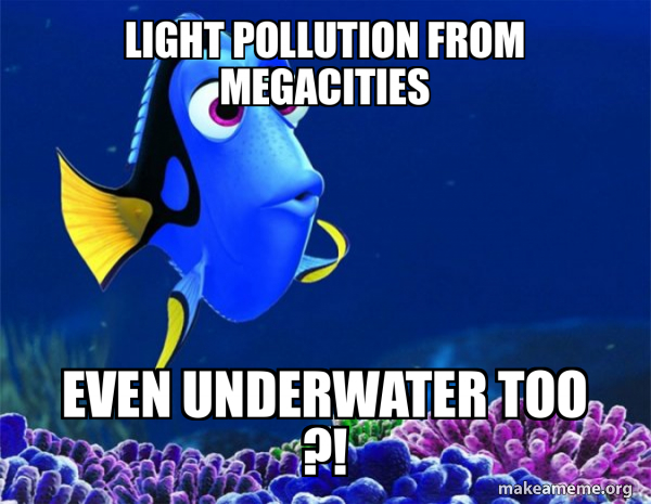 LIGHT POLLUTION FROM MEGACITIES EVEN UNDERWATER TOO ?! - Dory from Nemo ...