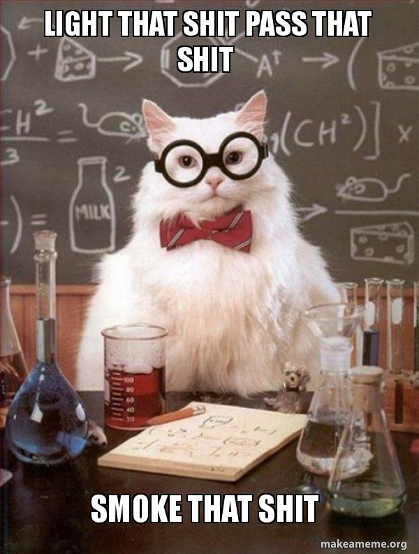 Light that shit pass that shit Smoke that shit - Chemistry Cat Meme ...