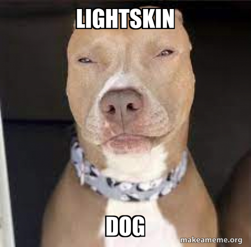 lightskin dog Meme Generator