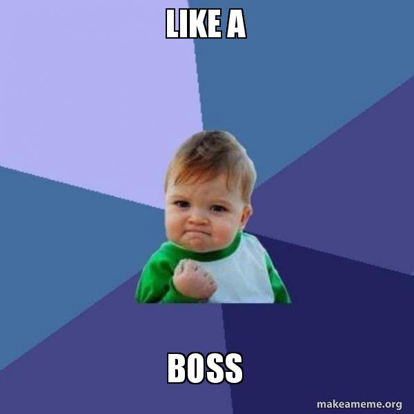Like a BOSS - Success Kid Meme Generator