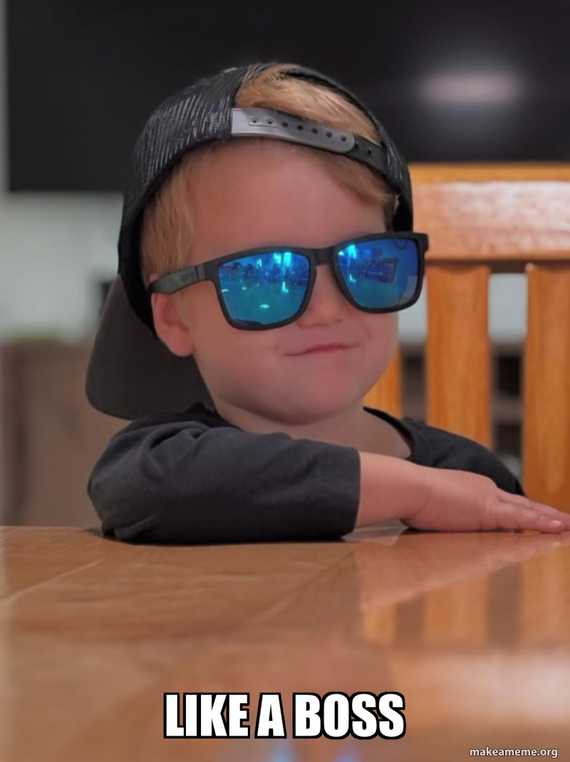 Like a boss Meme Generator