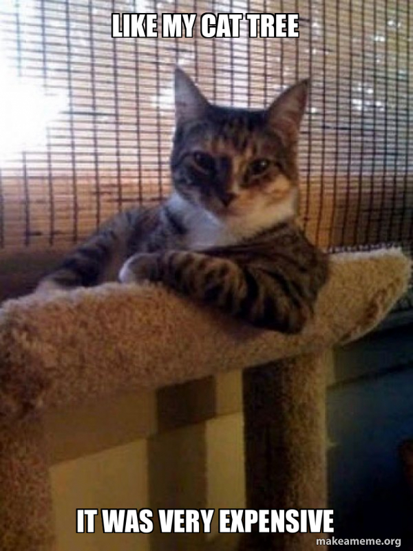 like my cat tree it was very expensive - The Most Interesting Cat in the World Meme Generator