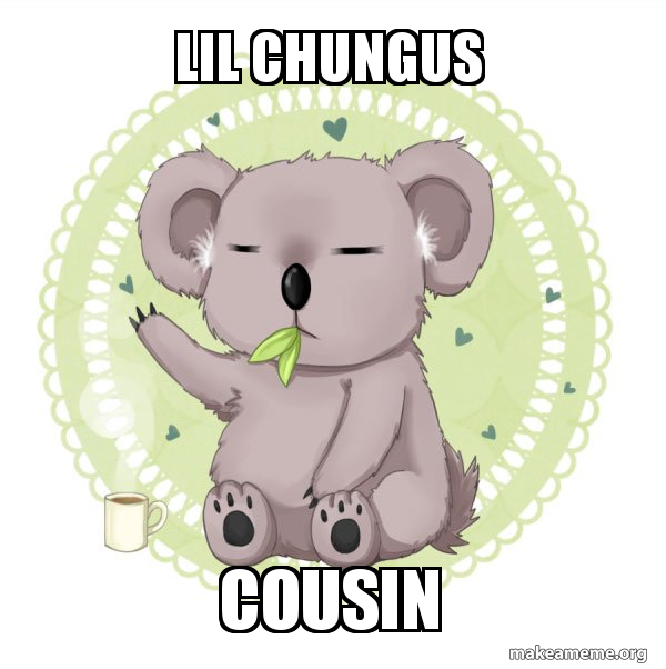 LIL CHUNGUS COUSIN - Aussie Koala doing the night shift Meme Generator