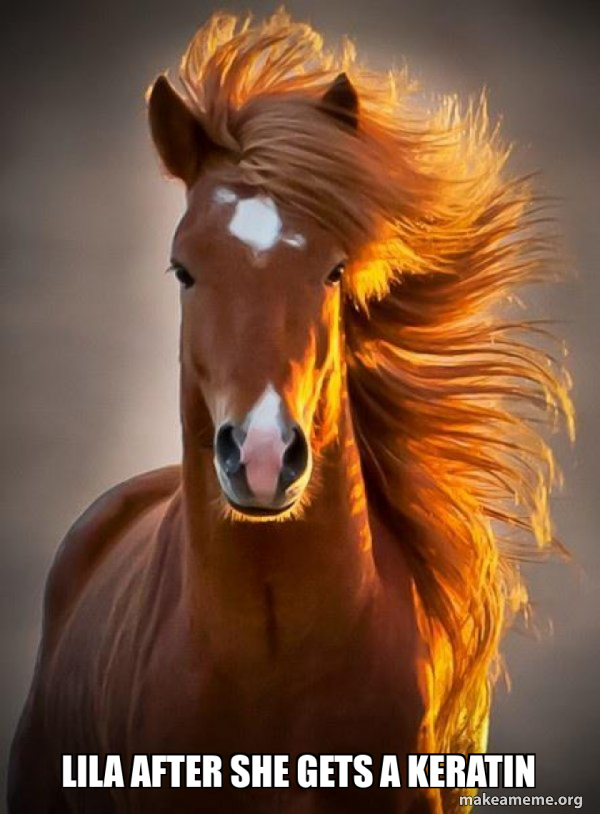 lila after she gets a keratin - Ridiculously photogenic horse Meme ...
