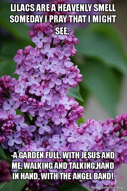 LILACS ARE A HEAVENLY SMELL SOMEDAY I PRAY THAT I MIGHT SEE, -A GARDEN ...