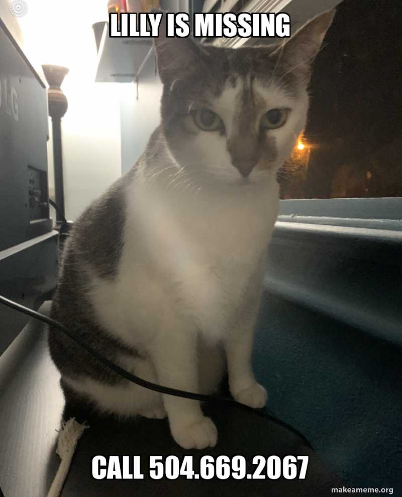 LILLY is MISSING Call 504.669.2067 Meme Generator