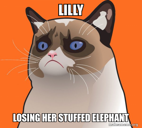 Lilly losing her stuffed elephant - Cartoon Grumpy Cat Meme Generator
