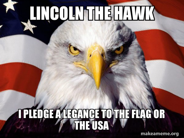 lincoln the hawk I pledge a legance to the flag or the usa - American ...