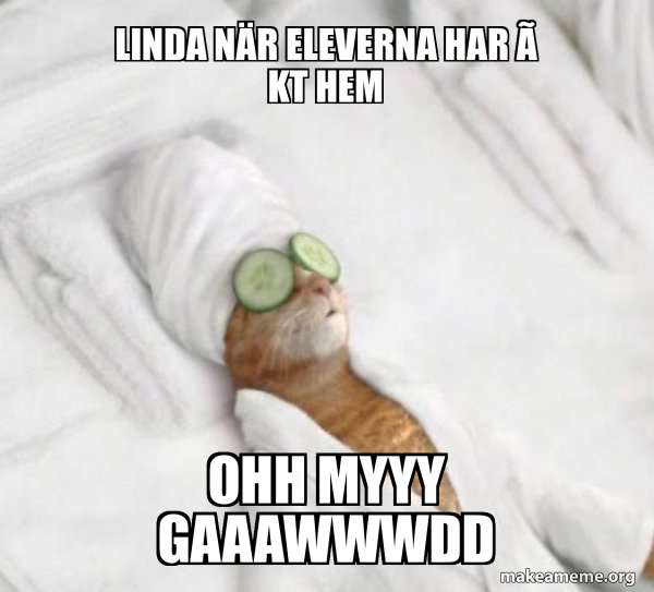 Linda när eleverna har åkt hem OHH MYYY GAAAWWWDD - Pampered Cat Meme ...