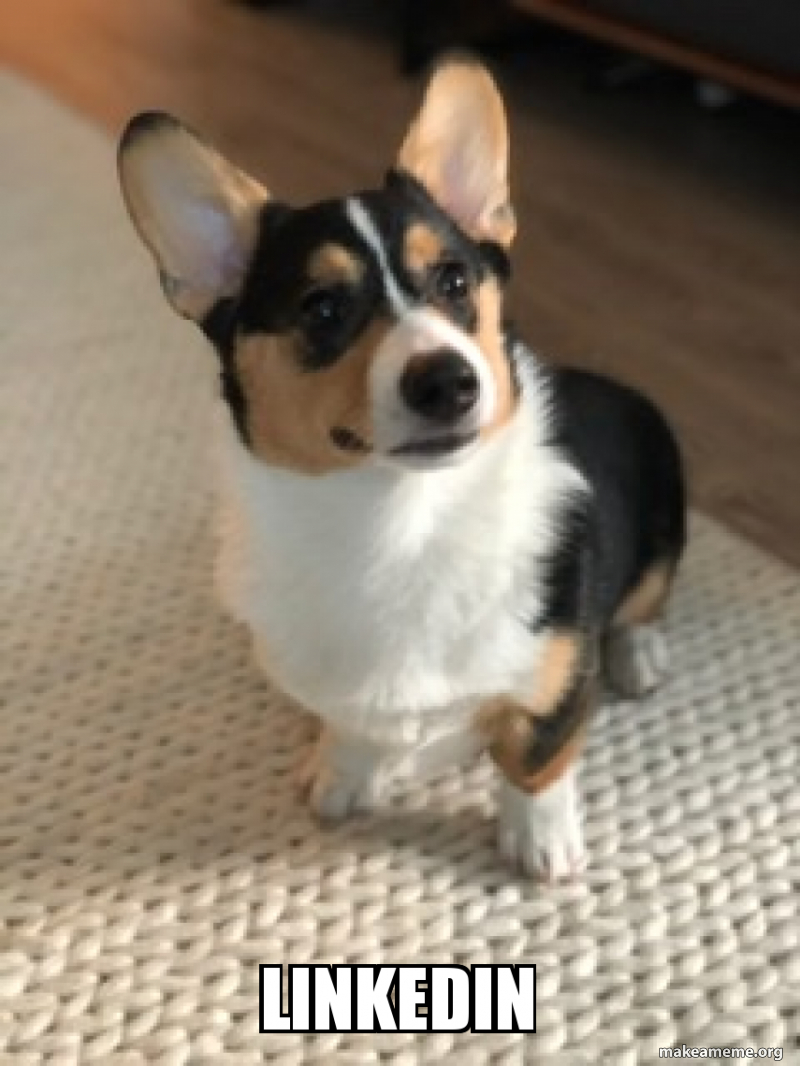 LiNkedin Meme Generator