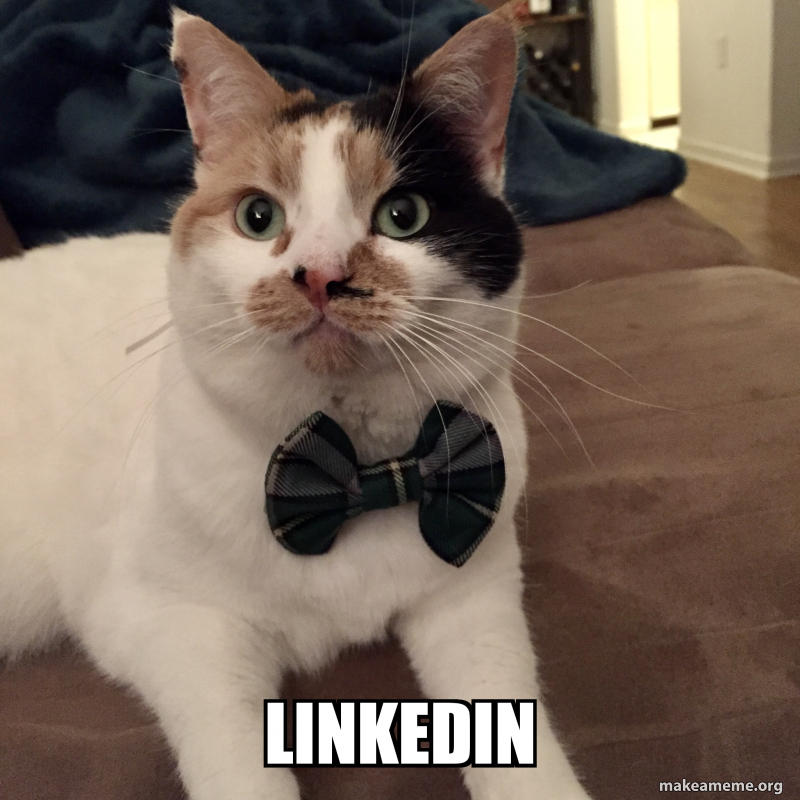 Linkedin Meme Generator