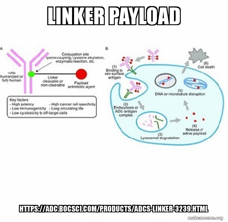 linker payload https://adc.bocsci.com/products/adcs-linker-3239.html ...