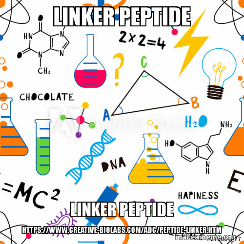 linker peptide linker peptide https://www.creative-biolabs.com/adc ...