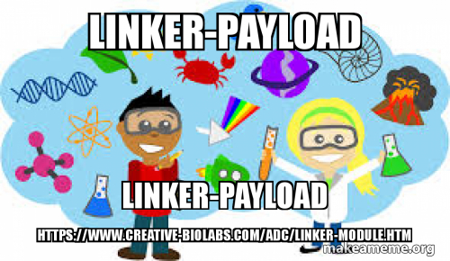 Linker-Payload Linker-Payload https://www.creative-biolabs.com/adc ...