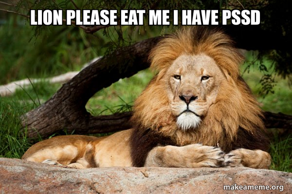 Lion please eat me I have PSSD - Contemplative Lion Meme Generator