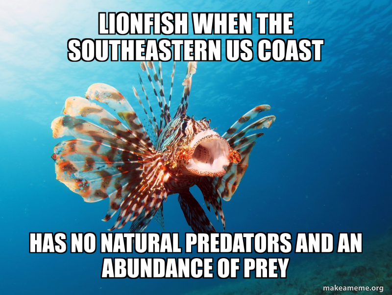 Lionfish when the Southeastern US coast Has no natural predators and an ...