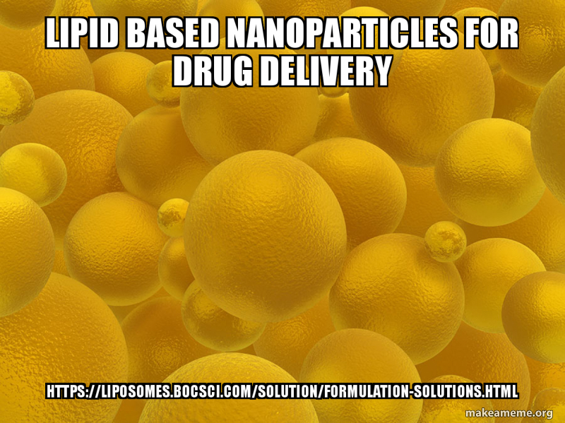 lipid based nanoparticles for drug delivery https://liposomes.bocsci ...