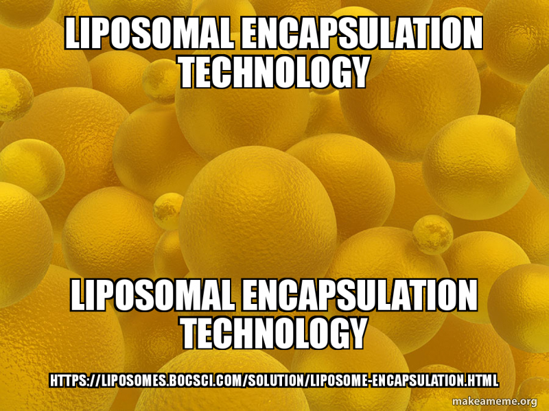 liposomal encapsulation technology liposomal encapsulation technology ...