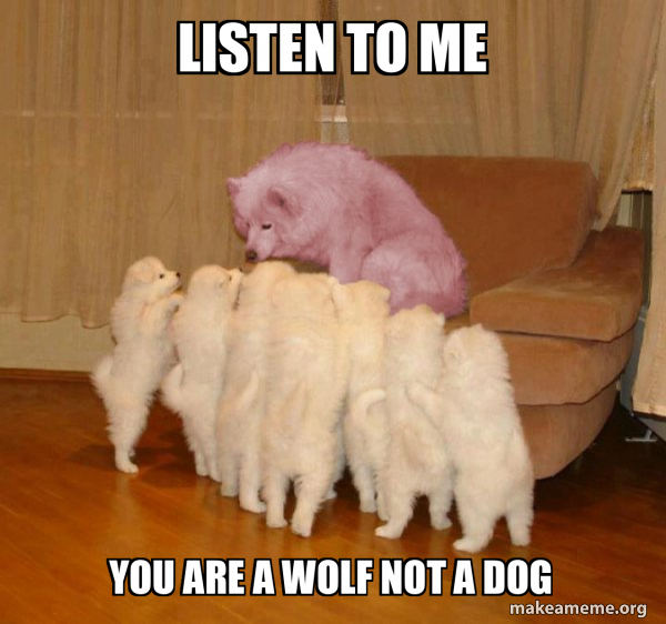 Listen to me You are a wolf not a dog - Malicious Storytelling Dog Meme ...