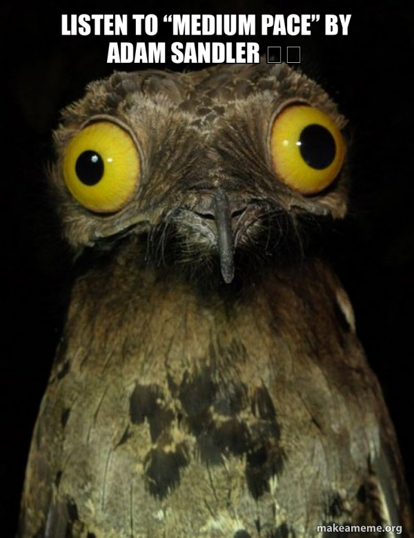 Listen to “Medium Pace” by Adam Sandler ️ - Weird Stuff I do Potoo Meme ...