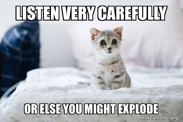 Listen Very Carefully Or Else You Might EXPLODE - Cute Kitten Meme ...