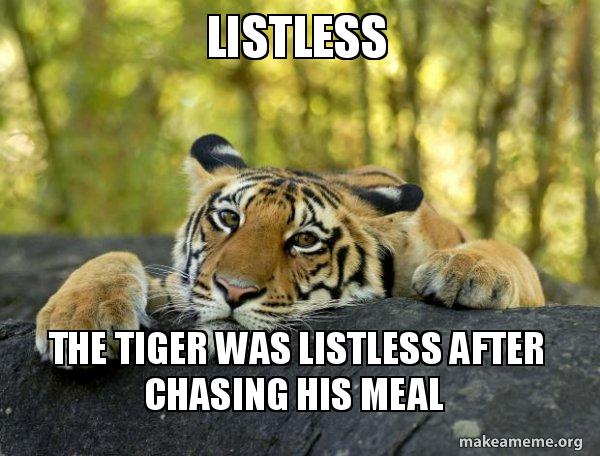 listless the tiger was listless after chasing his meal - Confession ...