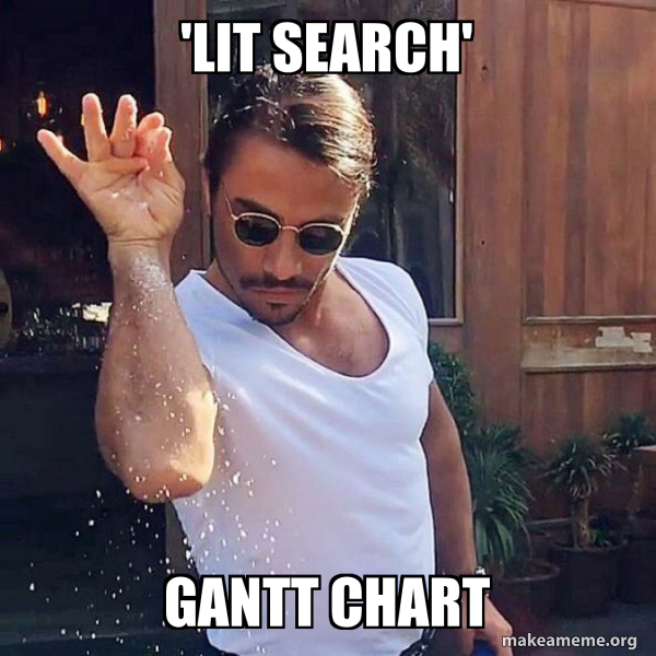 'Lit search' GANTT CHART - SaltBae or Salt Bae Meme Generator
