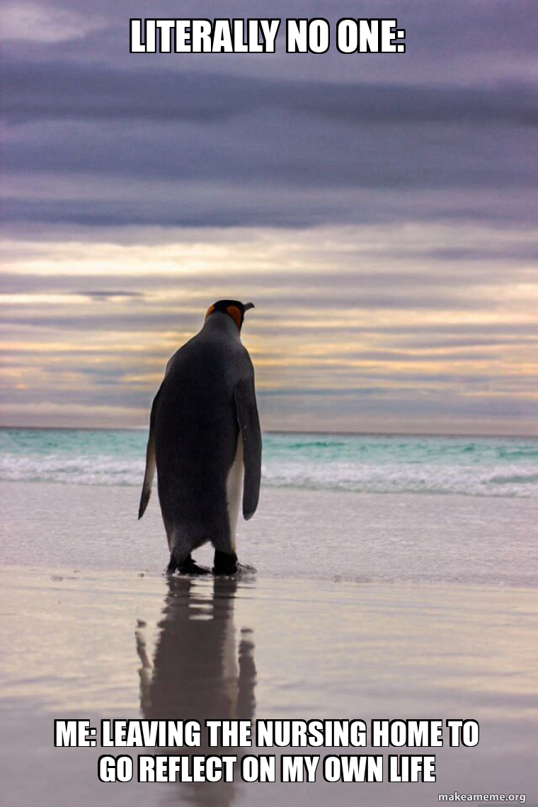 Literally no one: Me: Leaving the nursing home to go reflect on my own ...