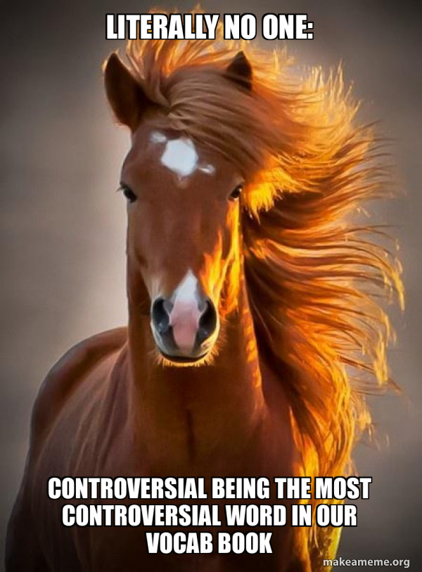 literally no one: controversial being the most controversial word in ...
