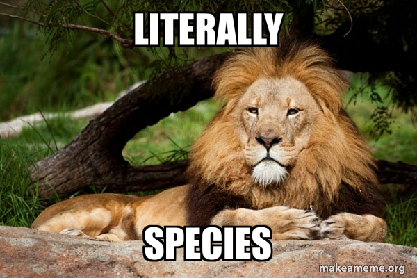 Literally species - Contemplative Lion Meme Generator
