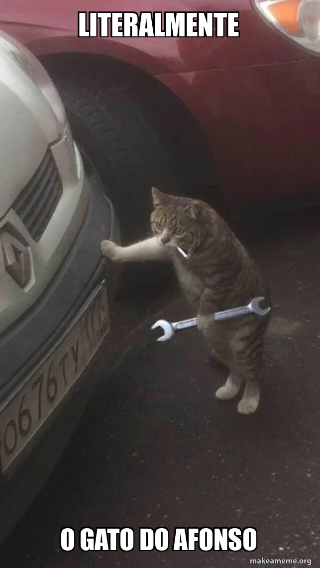 literalmente o gato do afonso - Mechanic Cat Meme Generator