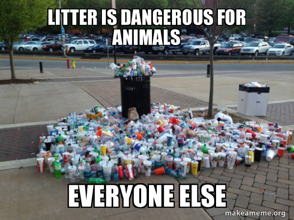 Litter is dangerous for animals Everyone else - Canadian Football Fans ...