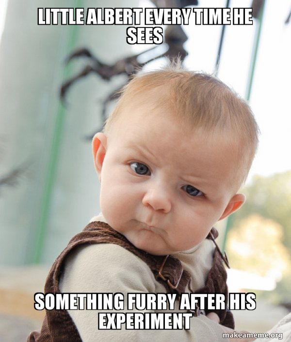 Little Albert every time he sees something furry after his experiment ...