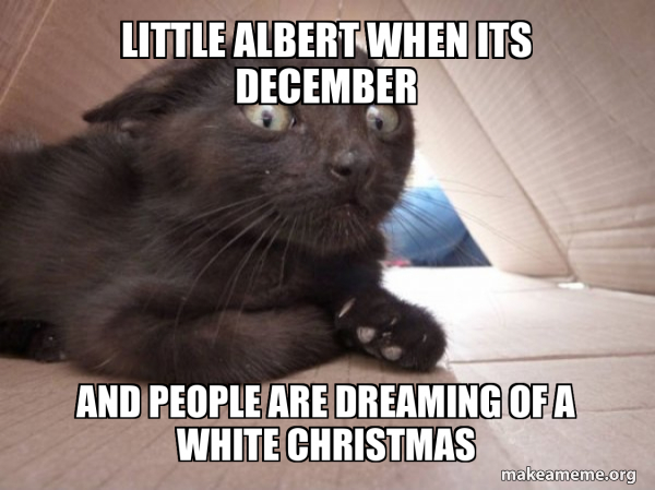 little albert when its december and people are dreaming of a white ...