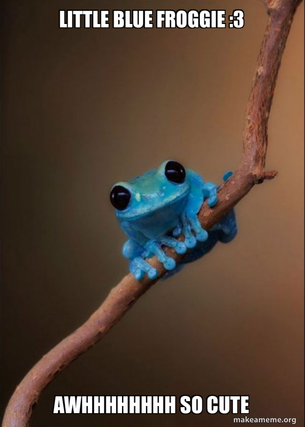 little blue froggie :3 awhhhhhhhh so cute - Small Fact Frog Meme Generator