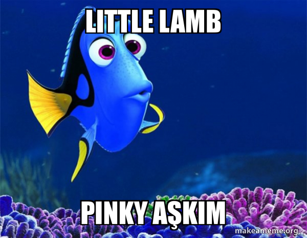 Little lamb Pinky aÅŸkÄ±m - Dory from Nemo (5 second memory) Meme Generator