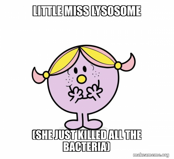 Little Miss Lysosome (she just killed all the bacteria) - Little Miss ...