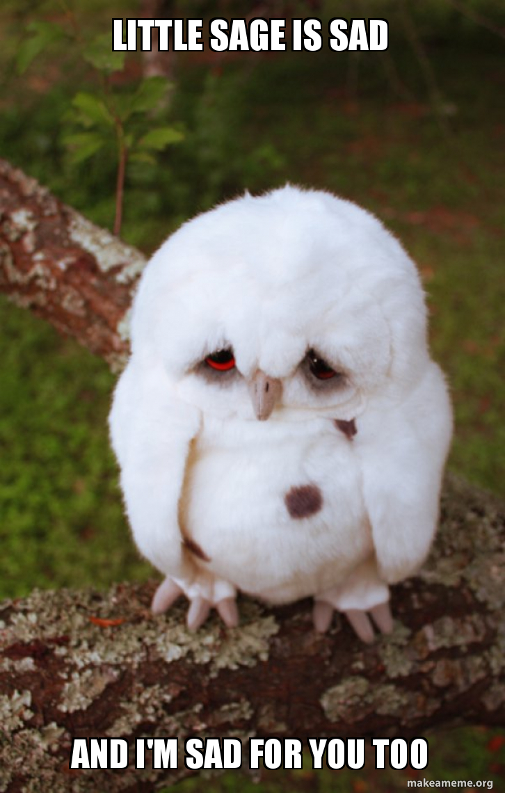 Little Sage is Sad and I'm sad for you too - Sad Owl Meme Generator