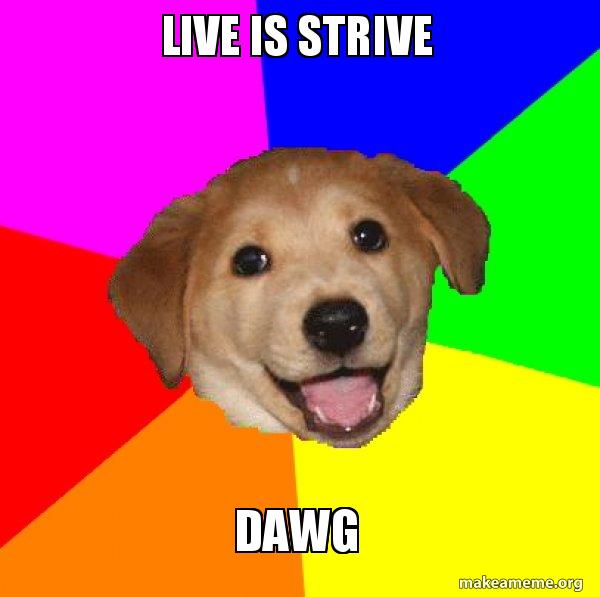live is strive dawg - Advice Dog Meme Generator