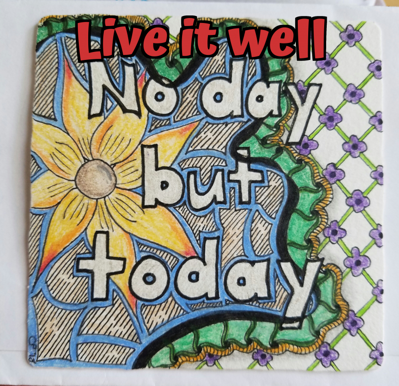 Live it well Meme Generator