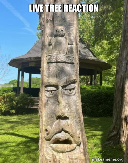 Live Tree Reaction Meme Generator