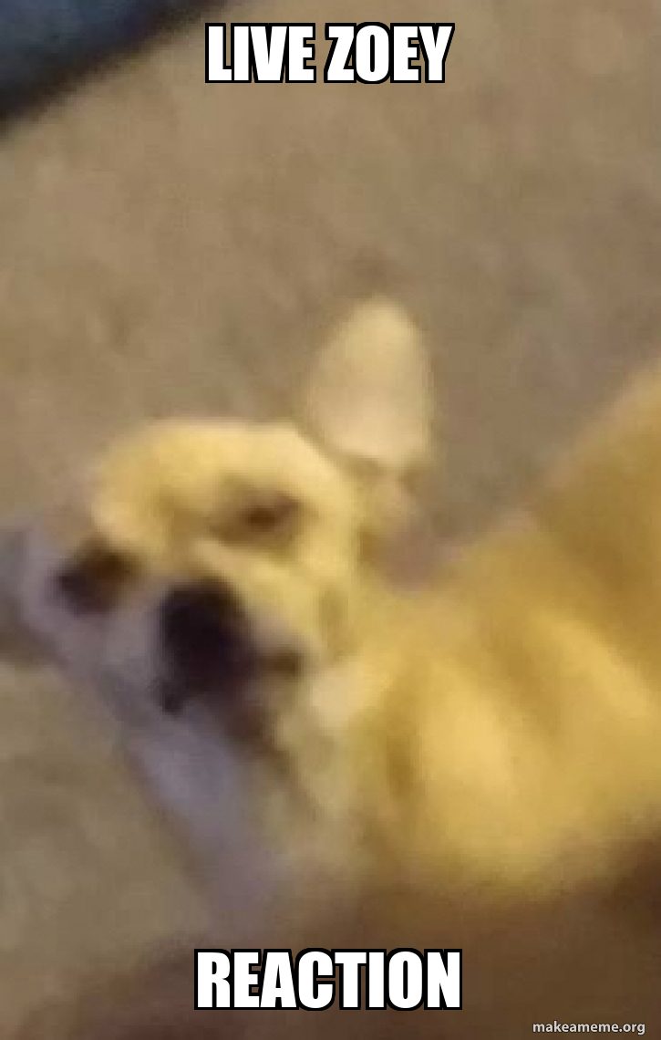 LIVE ZOEY REACTION Meme Generator