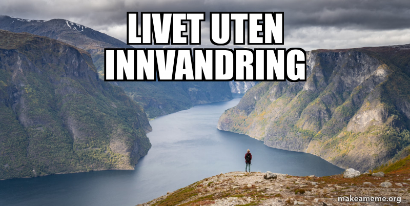 Livet uten innvaNdring Meme Generator