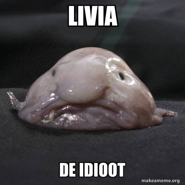 livia de idioot - Blobfish Meme Generator